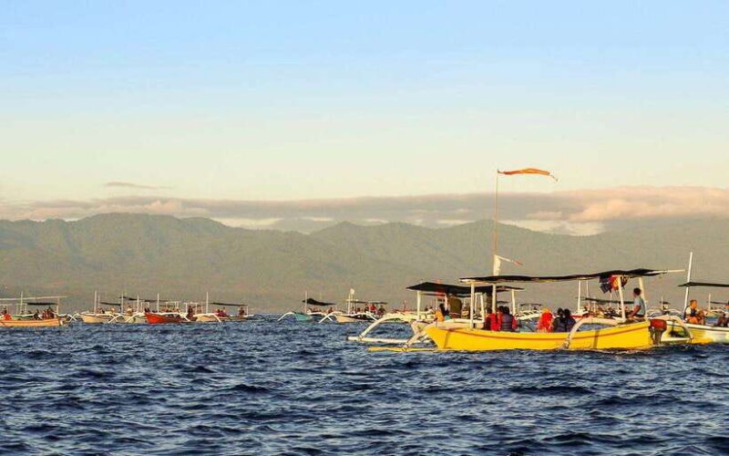 North Bali: Dolphin Watching and Snorkeling Tour - Who Will Love This Tour?