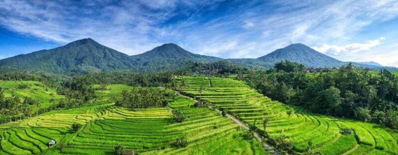 North Bali: Enjoy the beauty of Bratan Temple and Jatiluwih - Authentic Experiences and Honest Insights