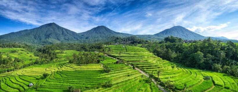 North Bali: Enjoy the beauty of Bratan Temple and Jatiluwih - Frequently Asked Questions