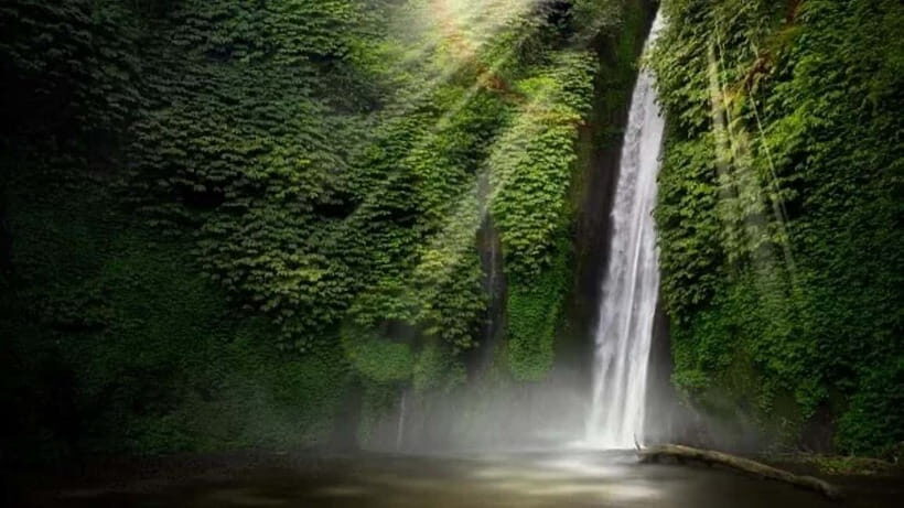 North Bali: Explore Munduk Waterfall Trekking Experience - The Detailed Experience