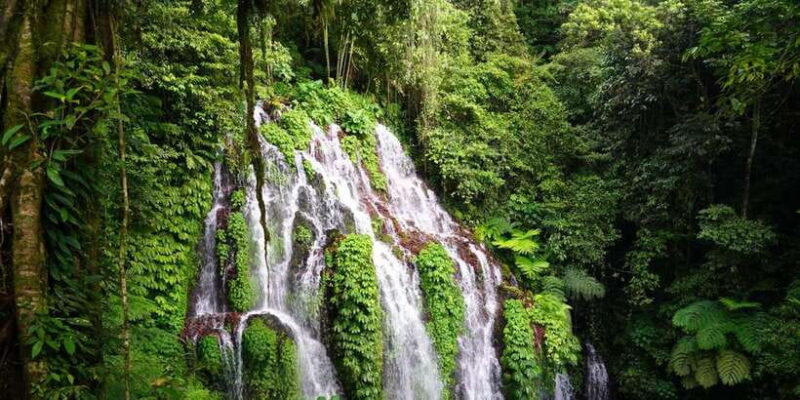 North Bali: Full-day Highlights Instagram Tour - A Deep Dive into the Itinerary