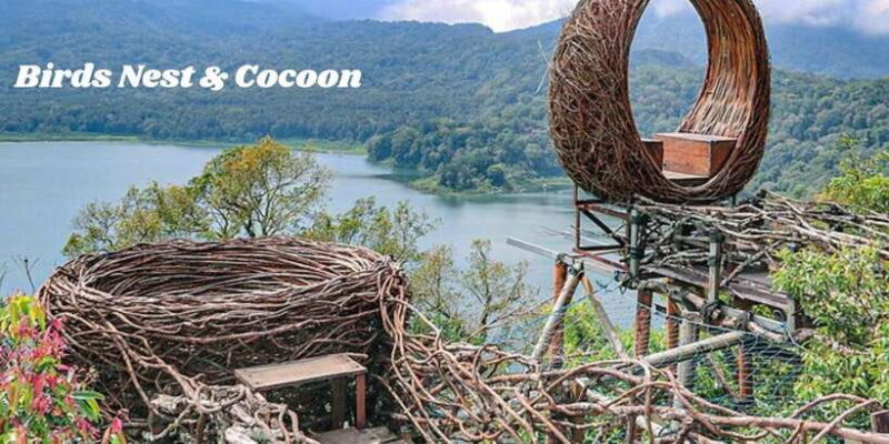 North Bali: Full Day "INSTAGRAM HIGHLIGHTS tour" - Authentic, Scenic, and Instagram-Worthy: Who Is This For?