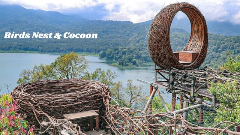 North Bali: Full Day "INSTAGRAM HIGHLIGHTS tour" - FAQ