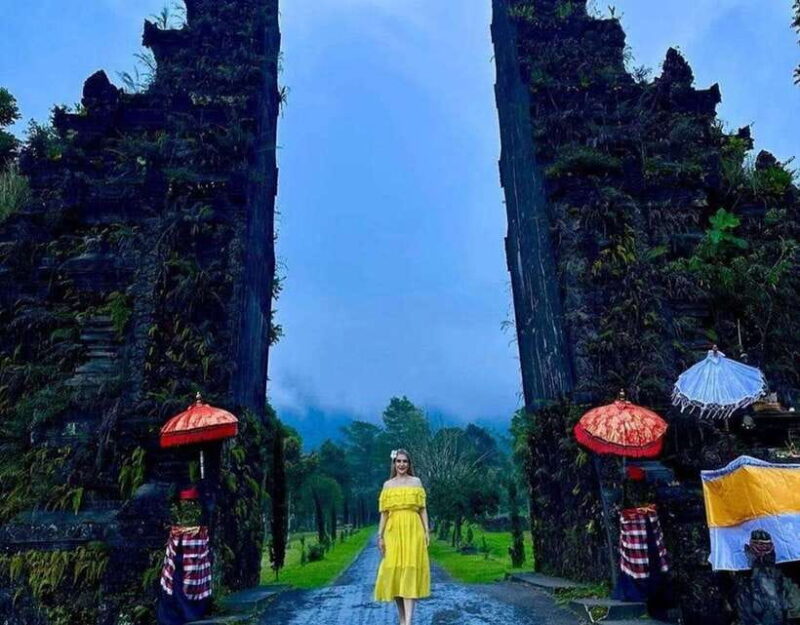 NORTH BALI : handara gate,temple,aling-aling waterfalls - FAQ