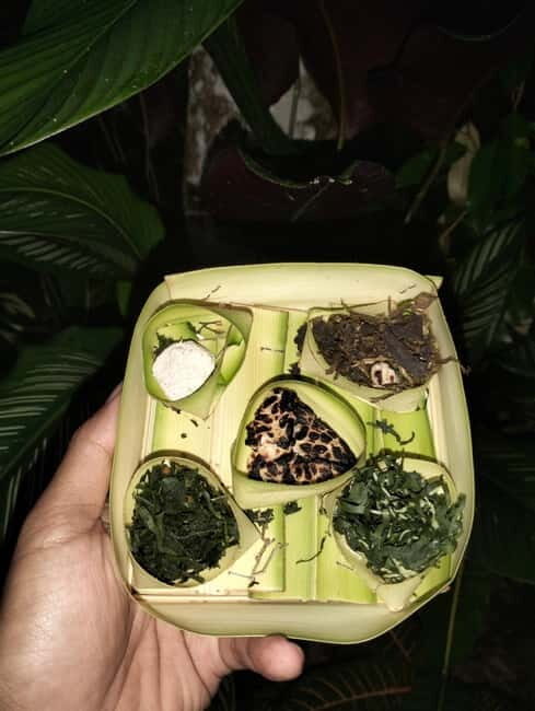 North Bali: Holy Water Purification Ritual with Temple Visit - The Itinerary: What You Can Expect