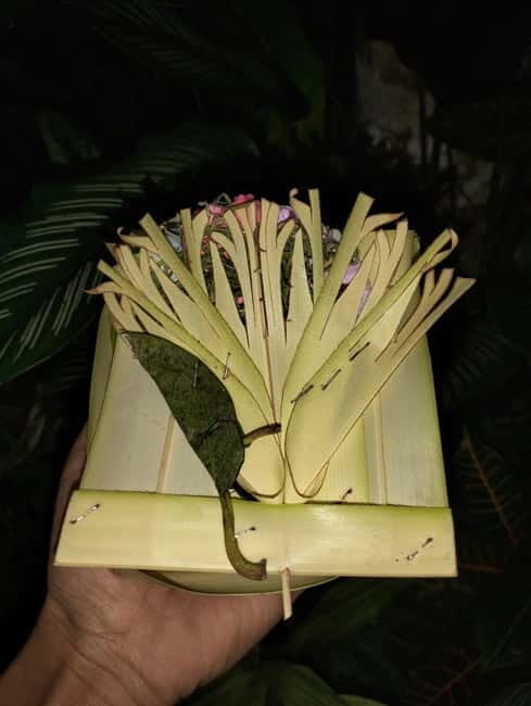 North Bali: Holy Water Purification Ritual with Temple Visit - Visiting the Village Temple