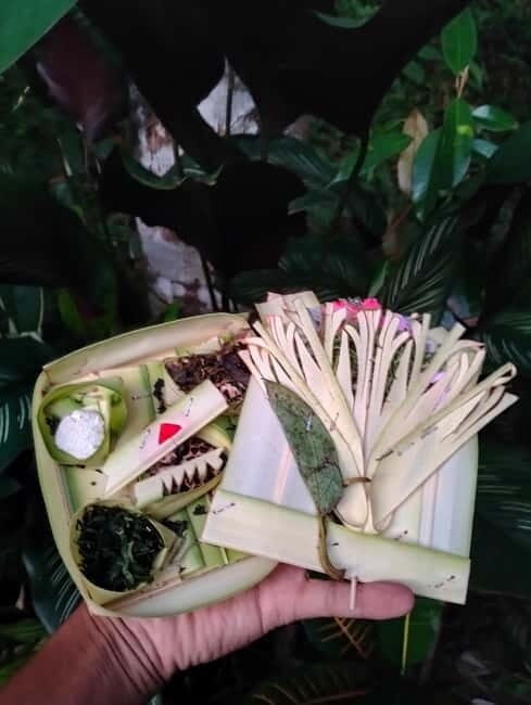 North Bali: Holy Water Purification Ritual with Temple Visit - Practical Details and Value