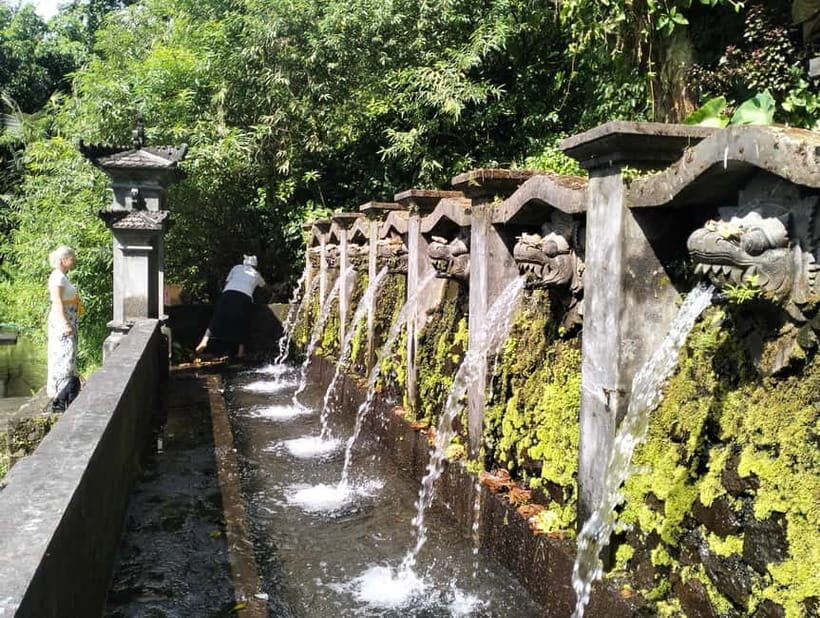 North Bali: Holy Water Purification Ritual with Temple Visit - What the Reviews Say