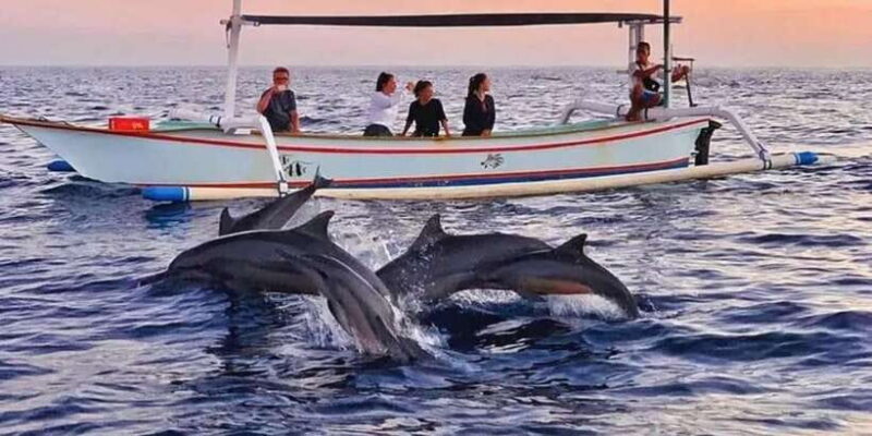 North Bali ; Lovina Sunrise Watching Dolphin - Key Points