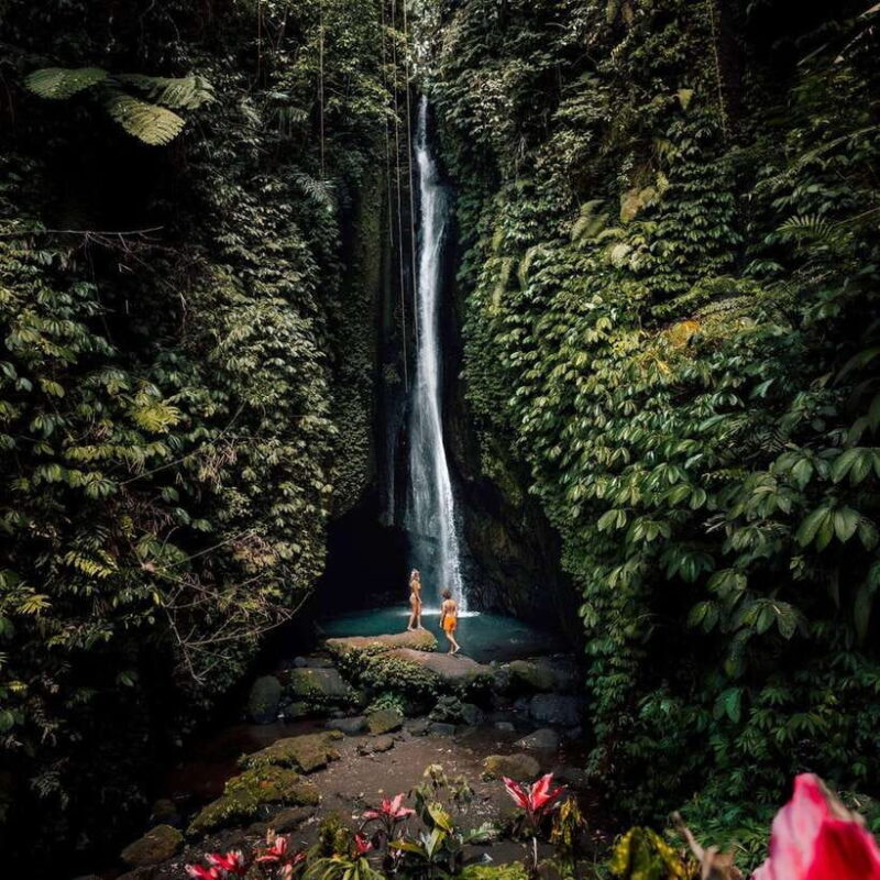 North Bali: Monkey Forest -Waterfall- Rice Terrace-Ulun Danu - Key Points