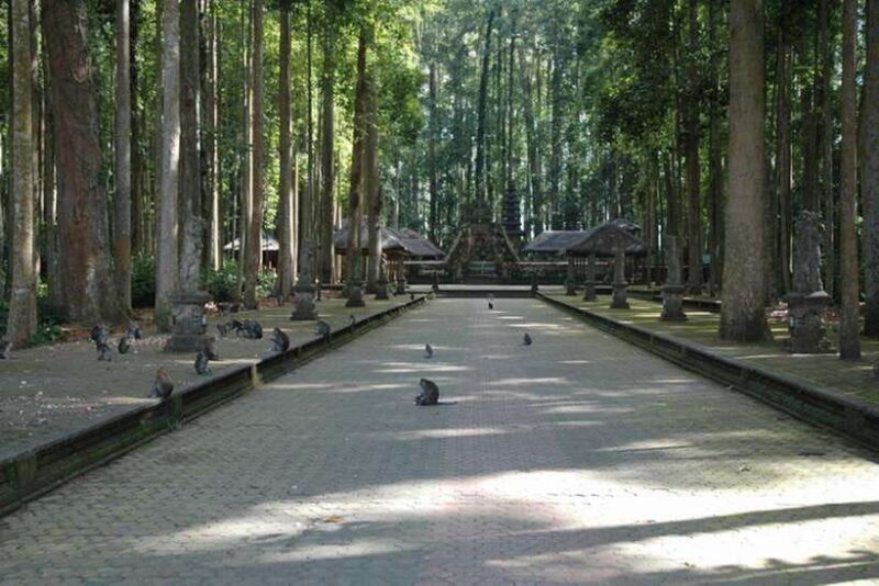 North Bali: Monkey Forest -Waterfall- Rice Terrace-Ulun Danu - Who Will Love This Tour?