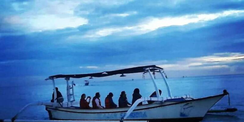 North Bali : Sunrise Dolphin Trip at Lovina Beach - What to Expect from the Tour