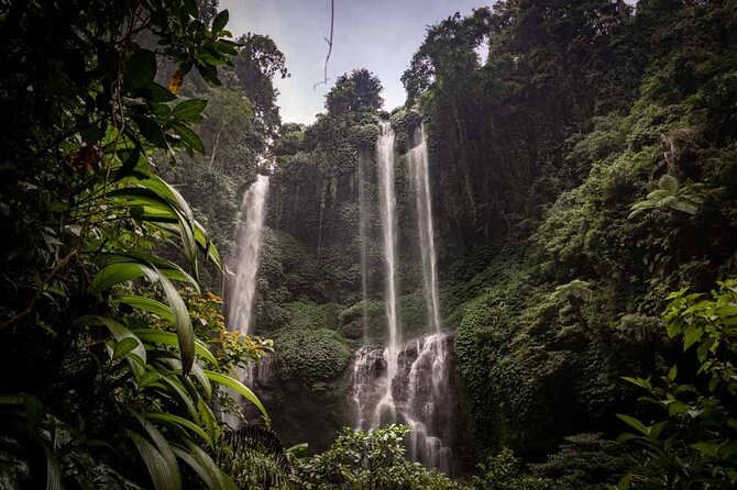 North Bali Tour: Banyumala Waterfall & Wanagiri Hidden Hills - Key Points