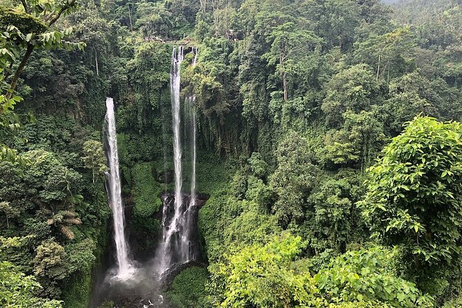 North Bali Tour: Banyumala Waterfall & Wanagiri Hidden Hills - The Experience and Its Value