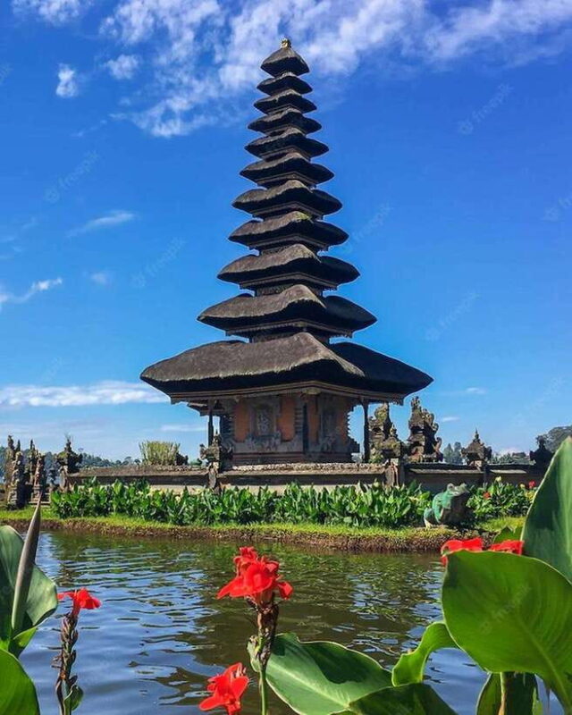 North Bali Tour With Baliaskha - What to Expect During the Day