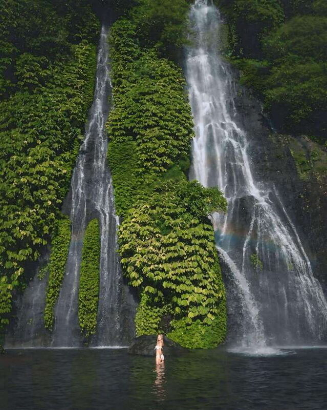 North Bali: Ulun Danu, Waterfalls, Swing and Monkey Forest - Sangeh Monkey Forest: Wildlife and Culture