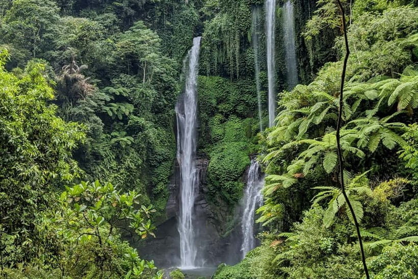 North Bali-Waterfall, Temple Tour - Key Points