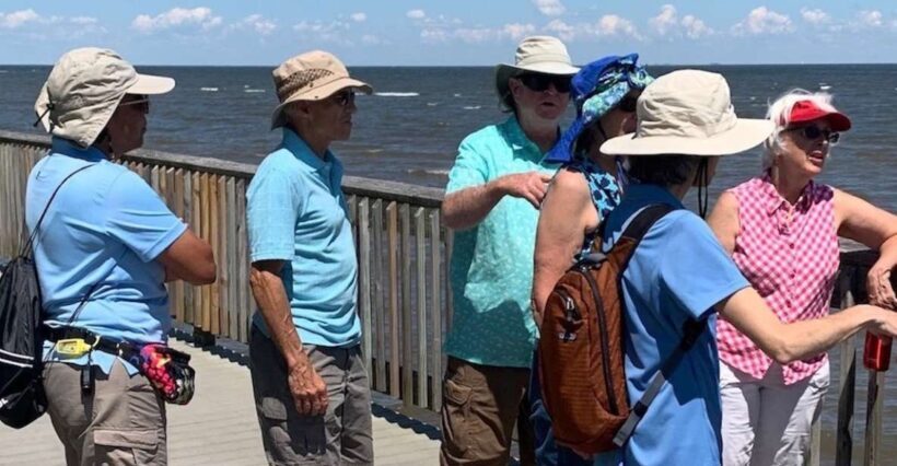 North Beach: North Beach Scenic Guided Walking Tour - A Closer Look at the Tour
