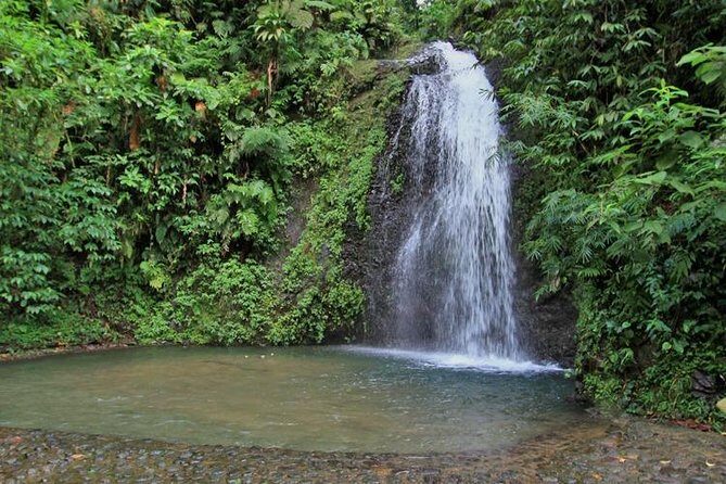 North Caribbean Tour in Martinique - FAQ