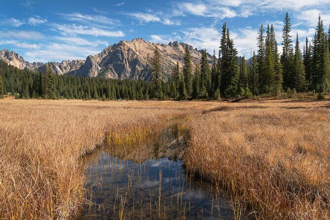 North Cascades Self-Guided Driving Audio Tour - Who Will Appreciate This Tour?