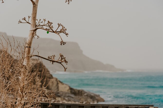 North Central Fuerteventura - Tour with photo shoot - Authenticity and Reviews: What Past Travelers Say