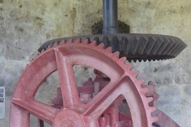 North Coast Tour - The Itinerary: What to Expect at Each Stop