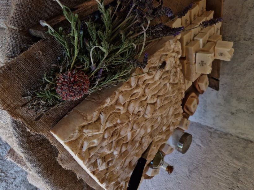 North Corfu Olive Tour with Olive Oil Tasting and Meze - A Detailed Look at the North Corfu Olive Tour