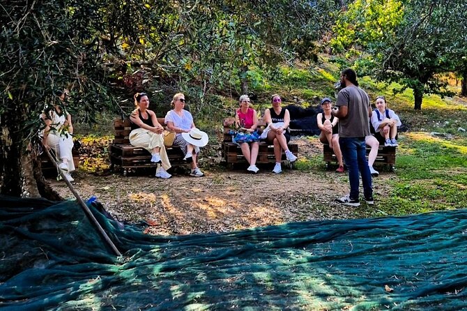 North Corfu Olive Tour With Olive Oil Tasting & Meze - Inclusions