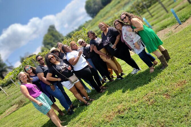 North Georgia Mountains Three Vineyard Wine Tasting Tour - Why This Tour Makes Sense for You
