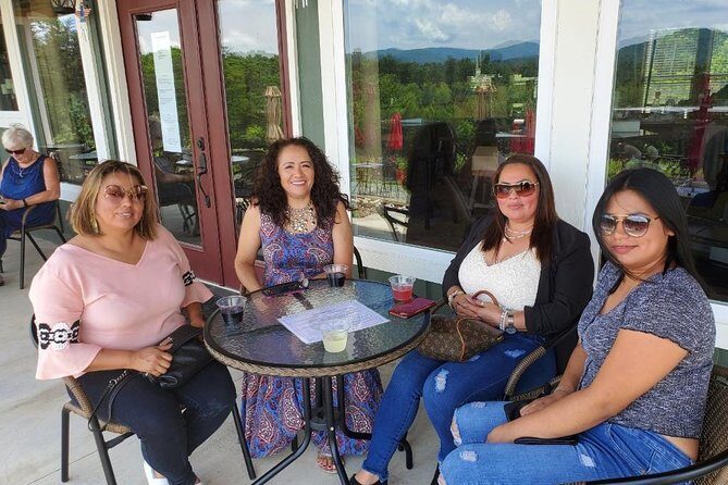 North Georgia Mountains Two Vineyard Wine Tasting Tour - Authentic Experiences and Guest Feedback
