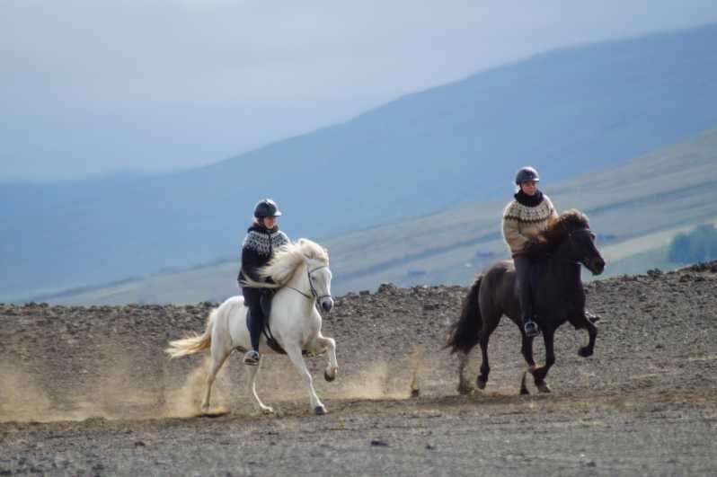 North Iceland: Horseback Riding Tour - An In-Depth Look at the Horseback Riding Experience in North Iceland