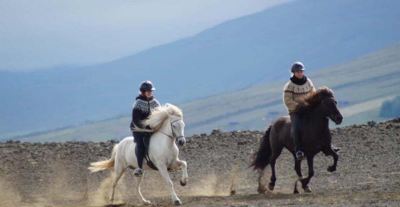 North Iceland: Horseback Riding Tour - Who Would Love This Experience?
