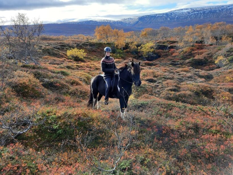 North Iceland: Horseback Riding Tour - FAQs