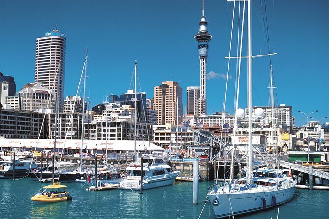 North Island Four-Day Highlights Tour from Auckland - Whats Included and What to Expect