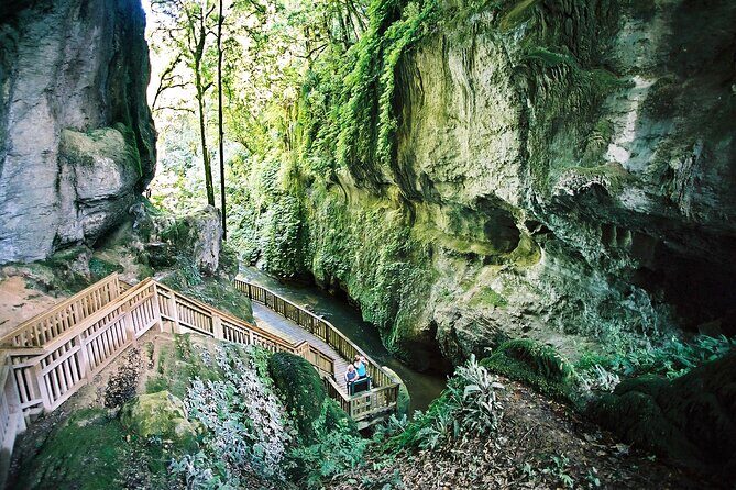 North Island Four-Day Highlights Tour from Auckland - Day 3: Auckland City and Waitakere Ranges