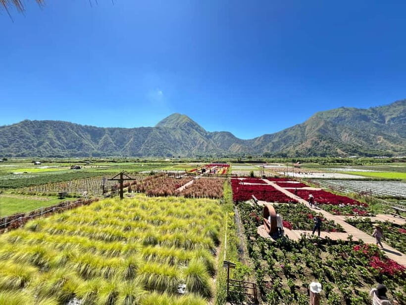North Lombok: Explore Sendang Gile, Tiu Kelep & Selong Hill - Practical Details and Value