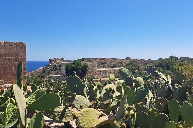 North Malta Quad Bike Tour with Land or Sea Views and Swimming - The Sum Up: Is This Tour for You?