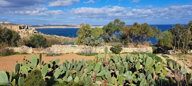 North Malta: Quad Bike Tour with Scenic Land, Sea & Swimming - FAQ