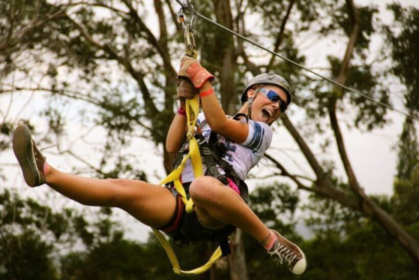 North Maui: 7 Line Zipline Adventure with Ocean Views - The Itinerary: From Tree to Tree with a Side of History