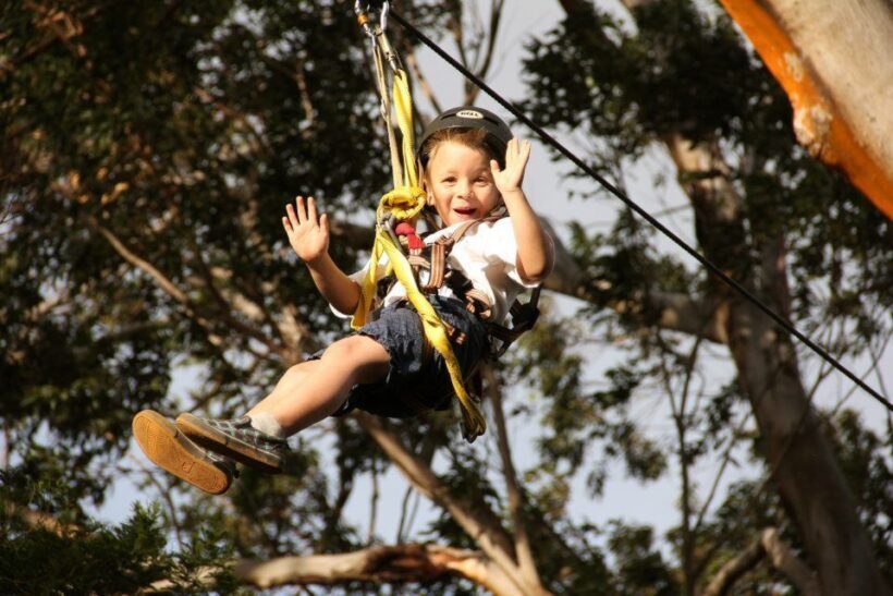 North Maui: 7 Line Zipline Adventure with Ocean Views - Final Thoughts: Who Should Do This?