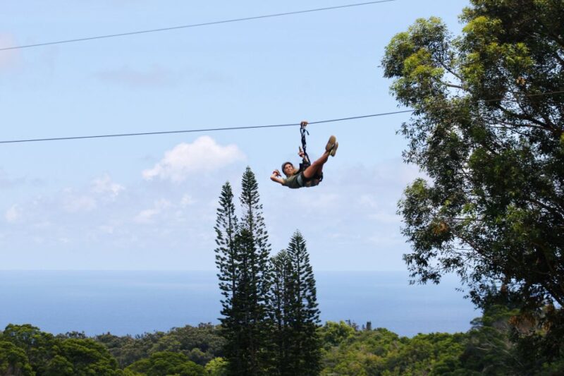 North Maui: 7 Line Zipline Adventure with Ocean Views - Key Points