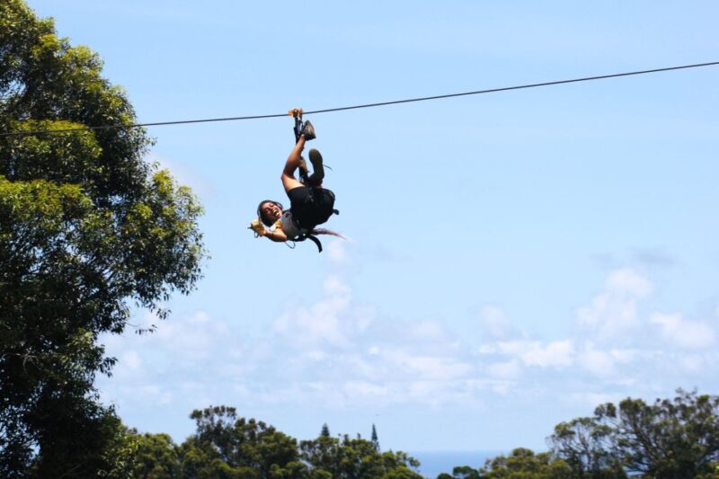North Maui: 7 Line Zipline Adventure with Ocean Views - Guides, Safety, and Atmosphere