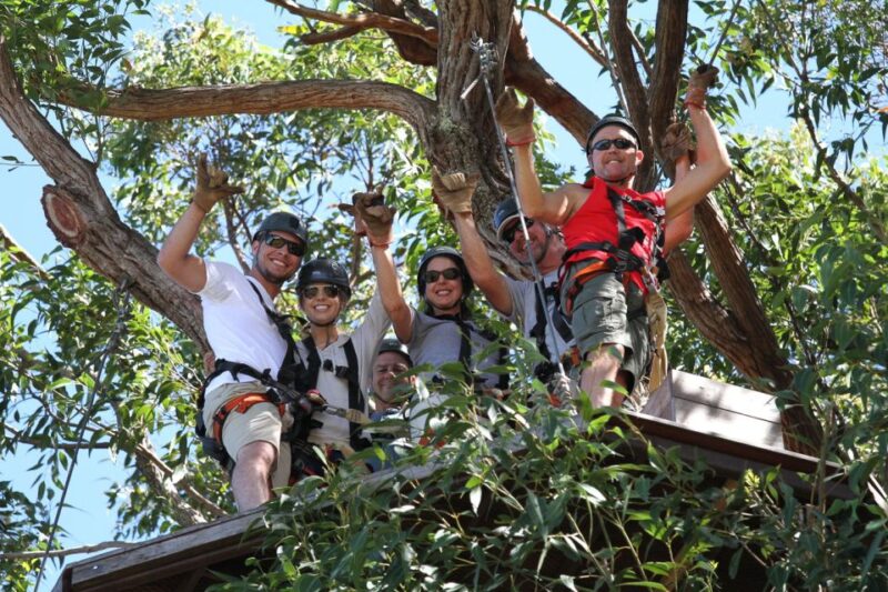 North Maui: 7 Line Zipline Adventure with Ocean Views - The Sum Up