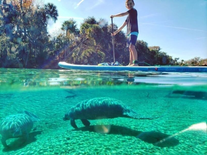 North Miami: Nature & Island Exploration on SUP/Kayak - Key Points