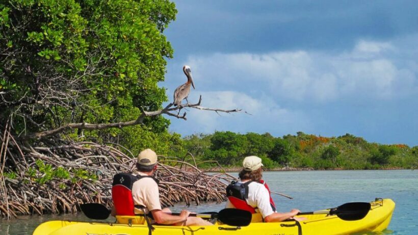 North Miami: Nature & Island Exploration on SUP/Kayak - An In-Depth Look at the Tour Experience