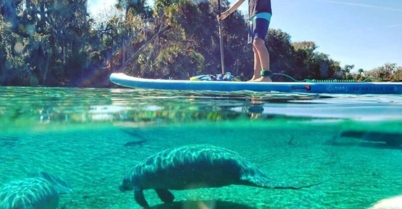 North Miami: Nature & Island Exploration on SUP/Kayak - Key Points