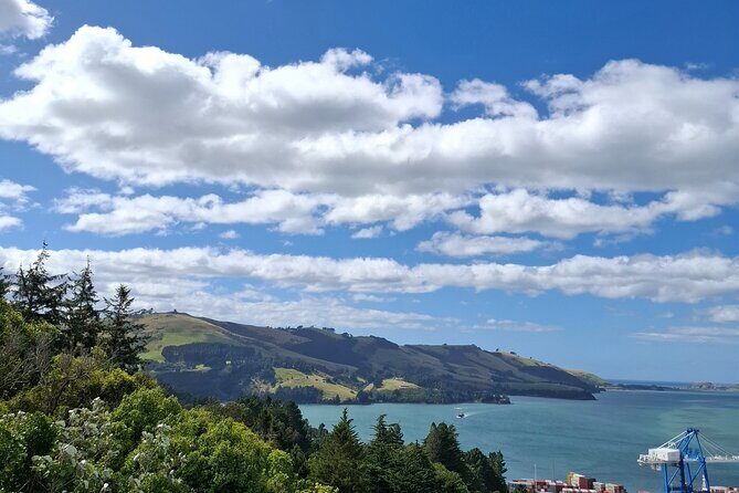 North Otago 7 Hours Scenic & Wildlife Tour - Key Points
