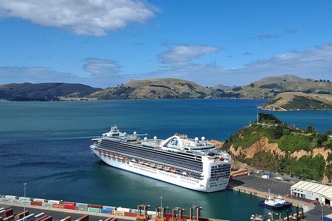 North Otago 7 Hours Scenic & Wildlife Tour - A Deep Dive into the Itinerary