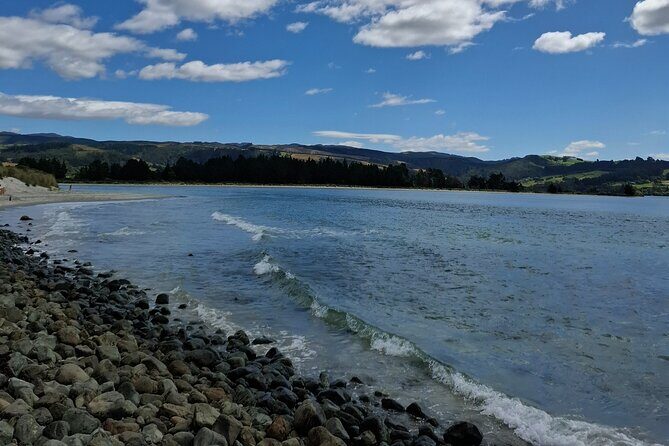 North Otago 7 Hours Scenic & Wildlife Tour - What the Reviews Say (and What We Think)