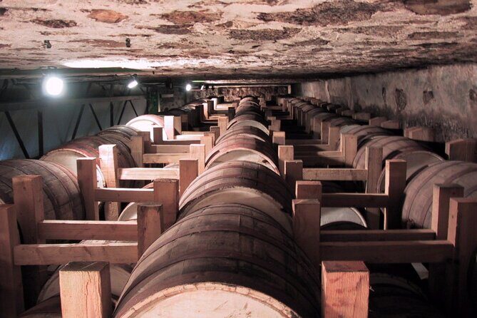 North Part Of Martinique Island Private Tour - Rum at Distillerie Depaz